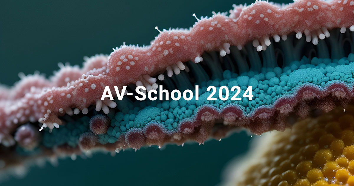 AV-School Workshops and Seminars Cycle | Home